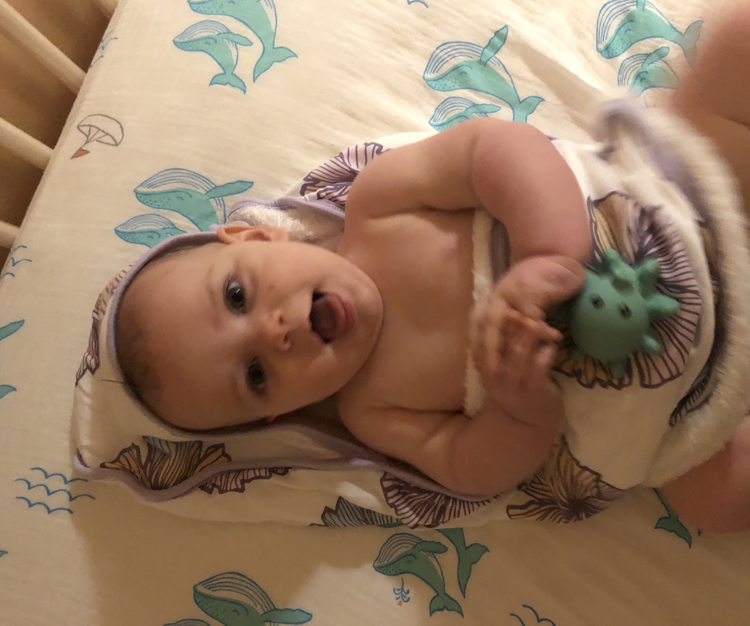 Unique Baby Brands that I Love – Kelley Ferro