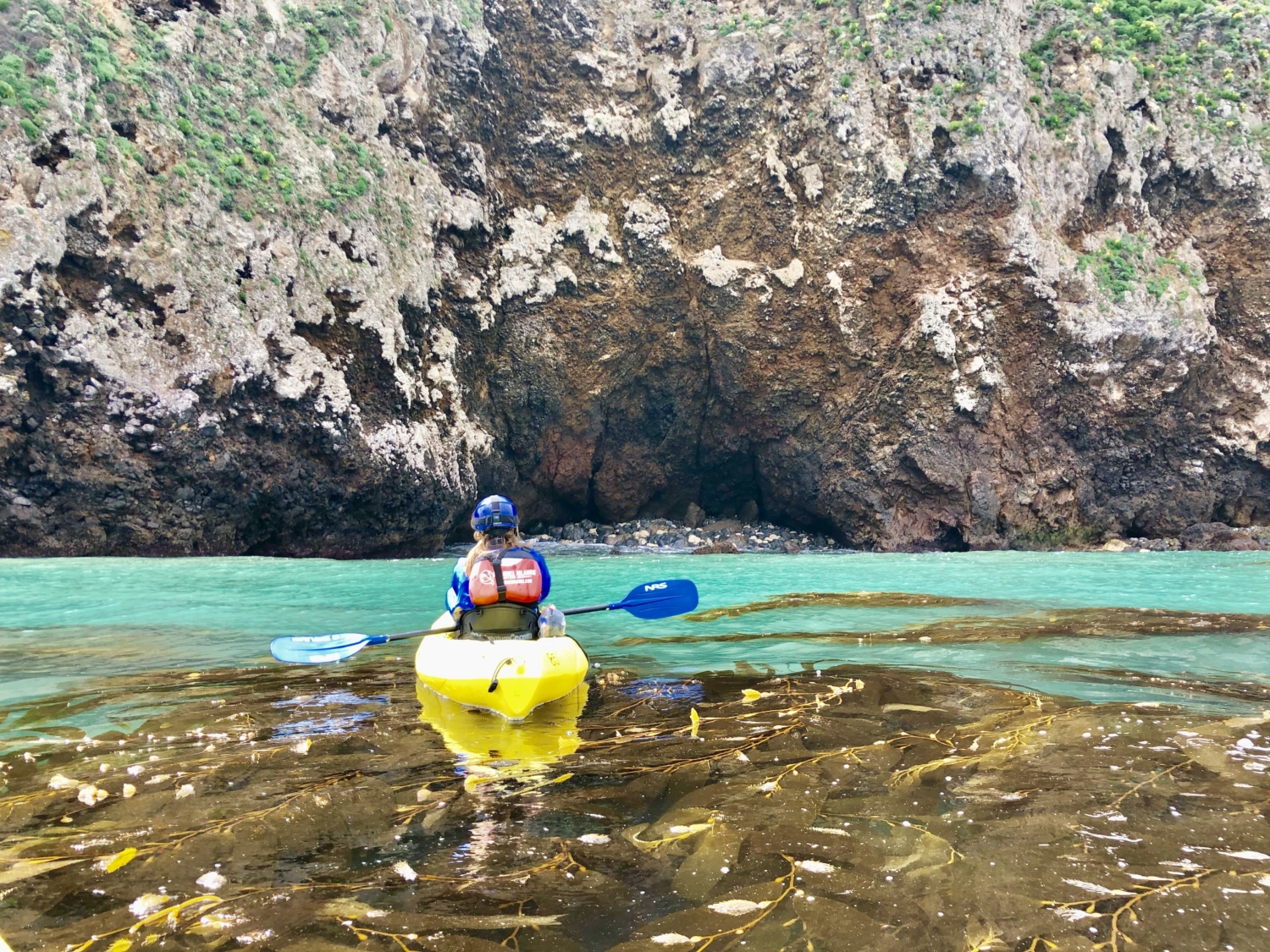 How To do a Day Trip to the Channel Islands – Kelley Ferro