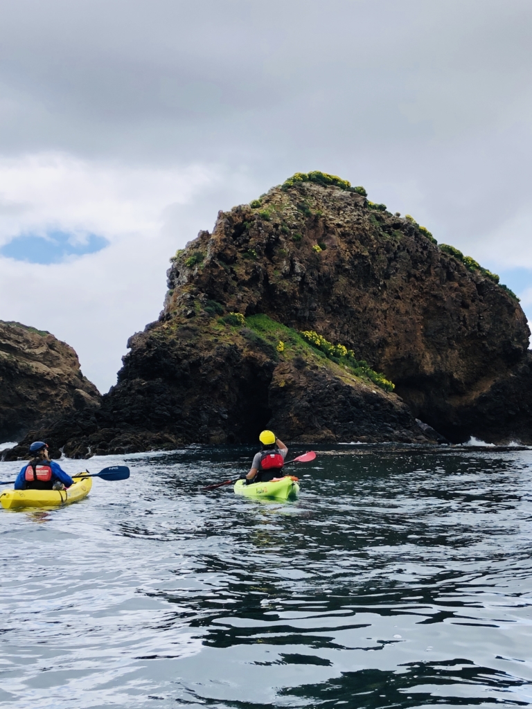 How To do a Day Trip to the Channel Islands – Kelley Ferro