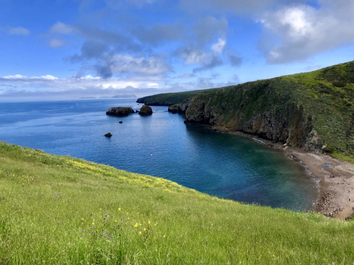 How To do a Day Trip to the Channel Islands – Kelley Ferro